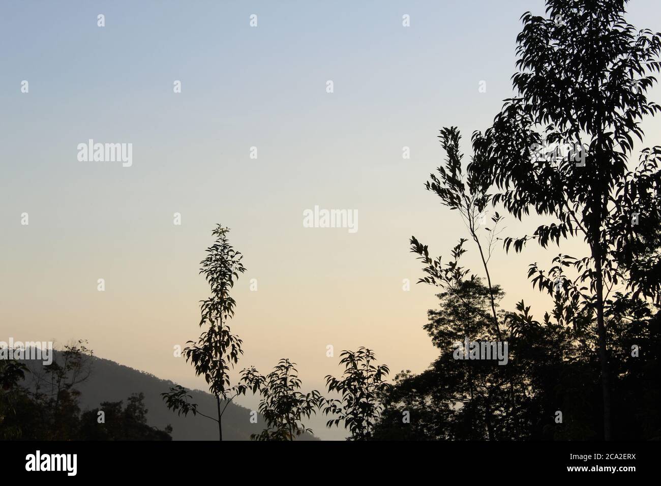 Various photos of nature Stock Photo - Alamy