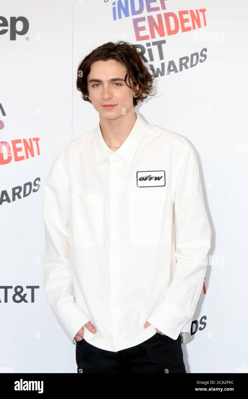 LOS ANGELES - MAR 3: Timothee Chalamet at the 2018 Film Independent ...