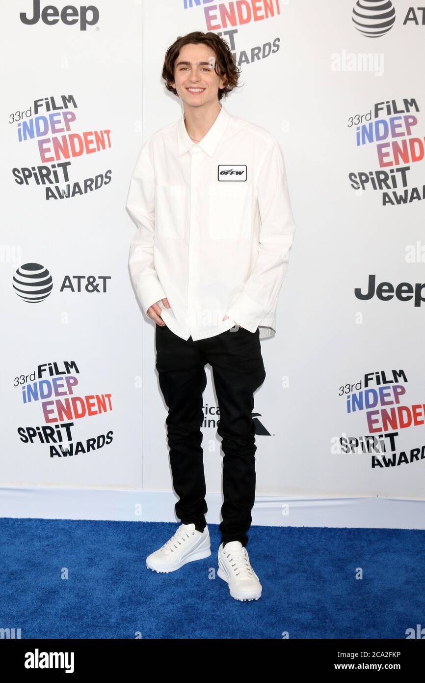 LOS ANGELES - MAR 3: Timothee Chalamet at the 2018 Film Independent ...