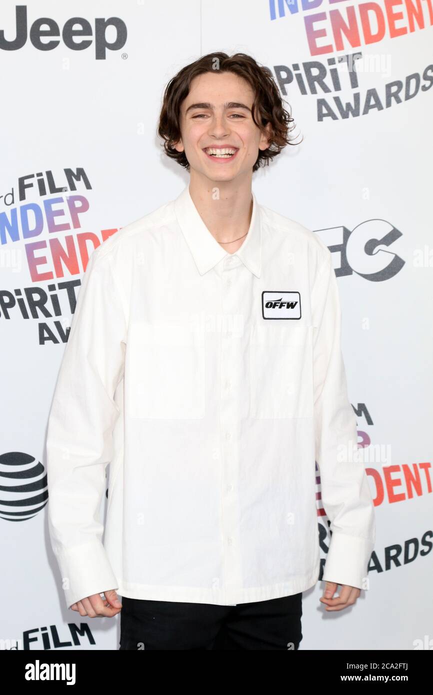 LOS ANGELES - MAR 3: Timothee Chalamet at the 2018 Film Independent ...