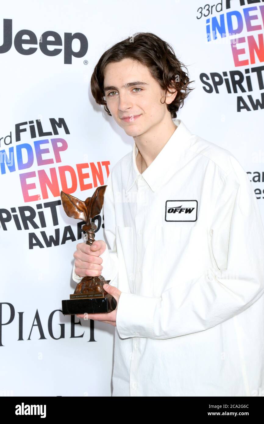 LOS ANGELES - MAR 3: Timothee Chalamet at the 2018 Film Independent ...