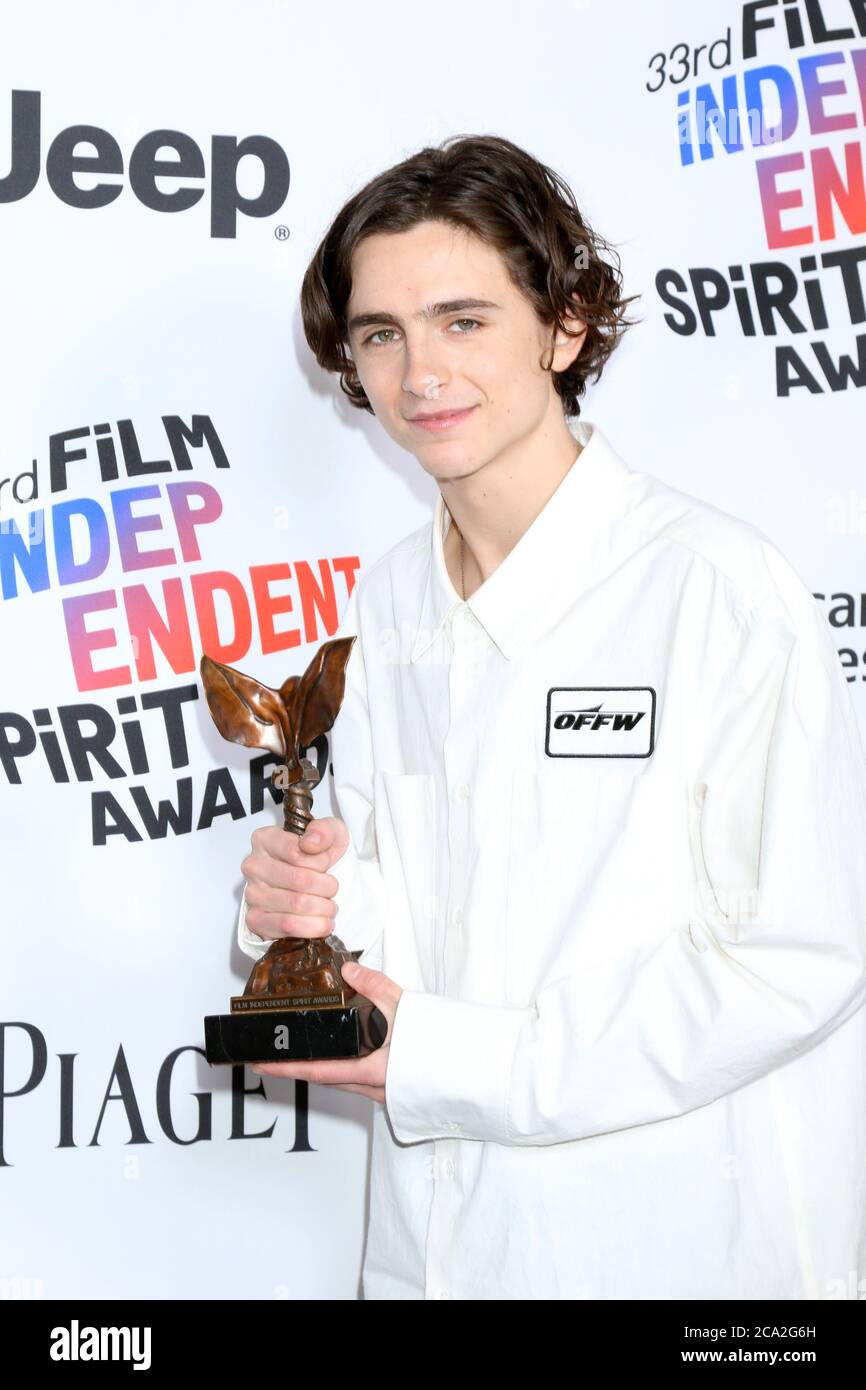 LOS ANGELES - MAR 3: Timothee Chalamet at the 2018 Film Independent ...
