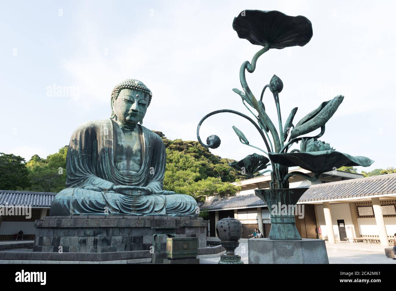 The giant buddha temple of japan Stock Photo - Alamy