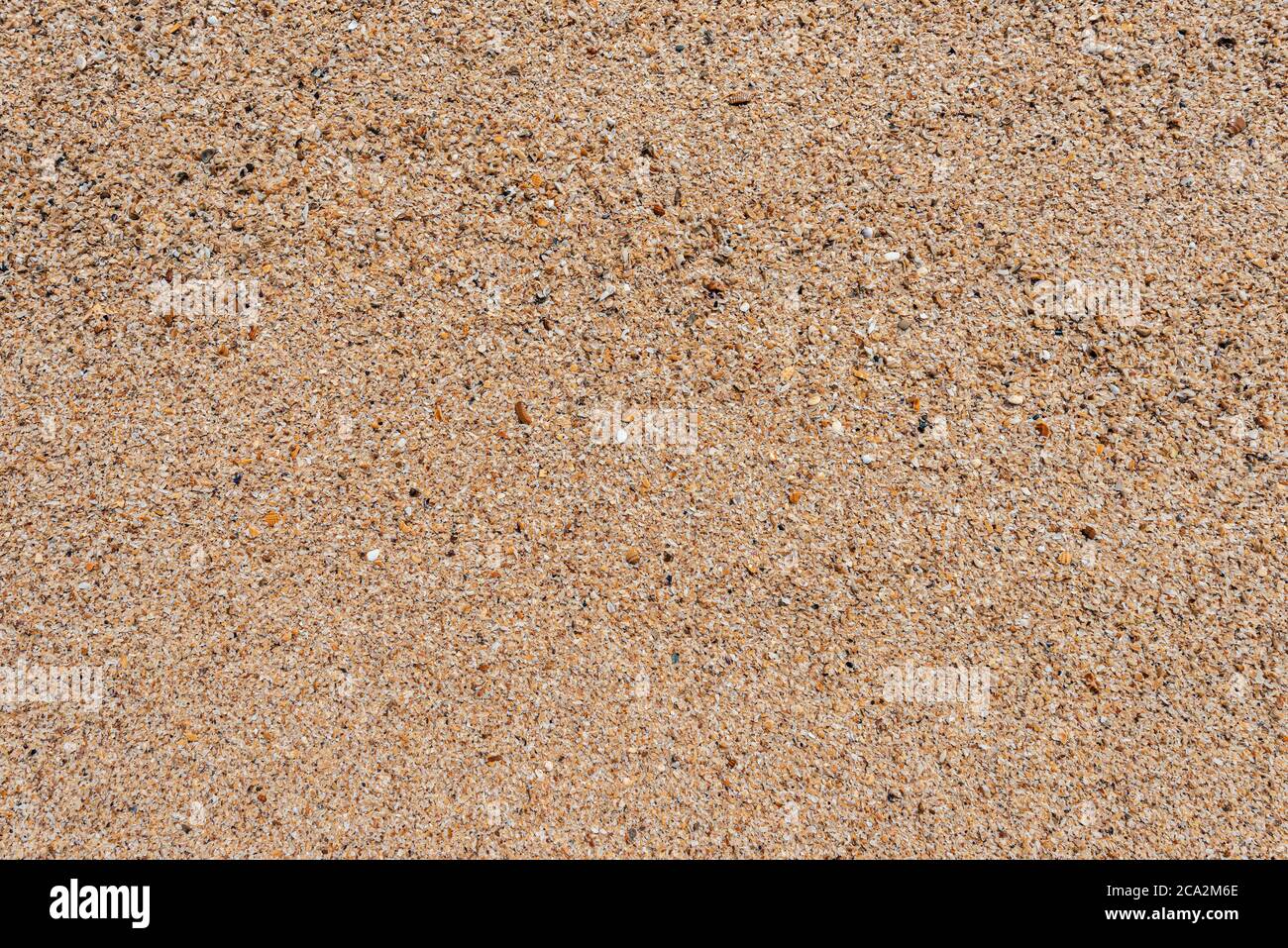 Small seashells texture background, template Stock Photo - Alamy