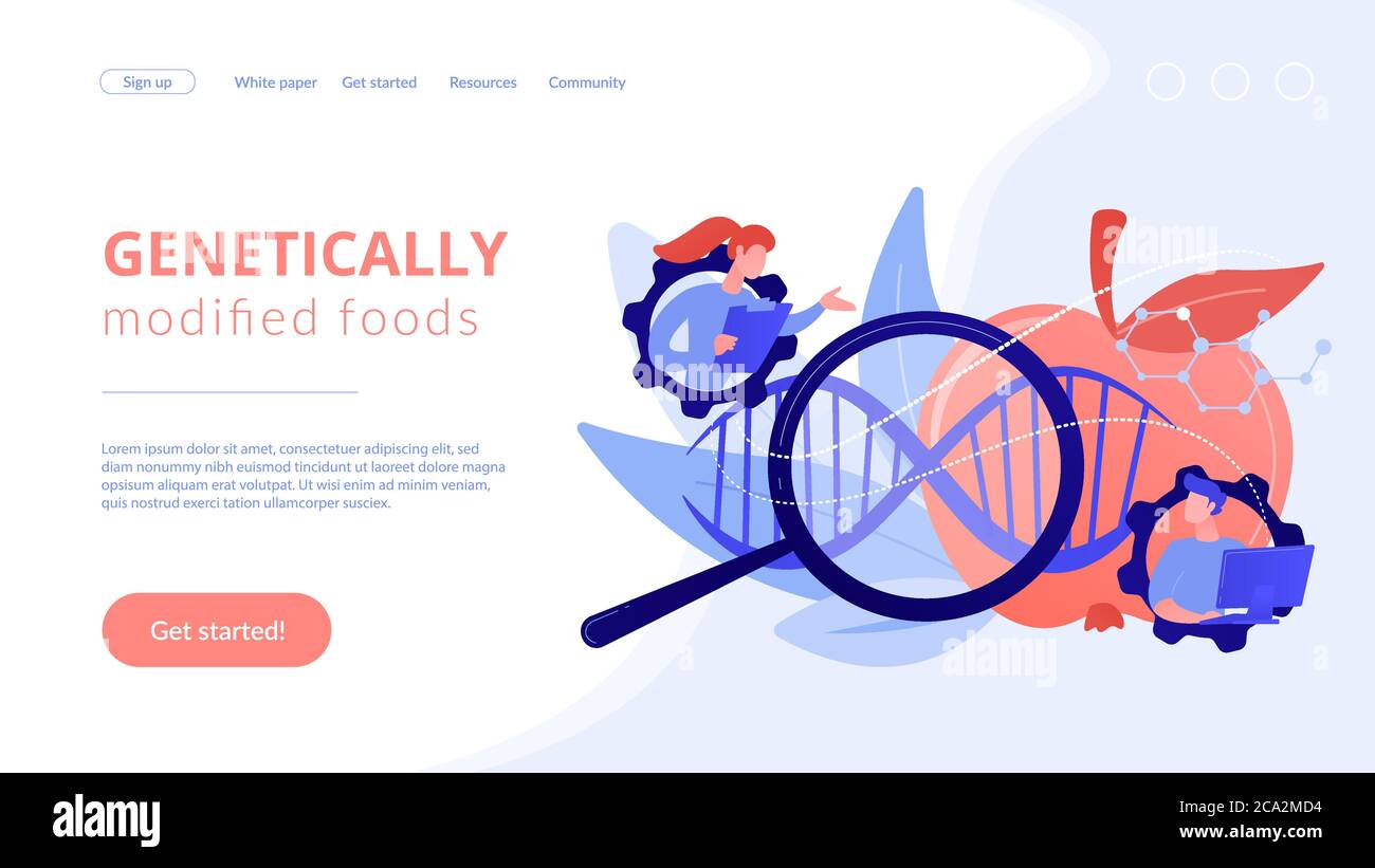Genetically modified foods concept landing page Stock Vector Image & Art - Alamy