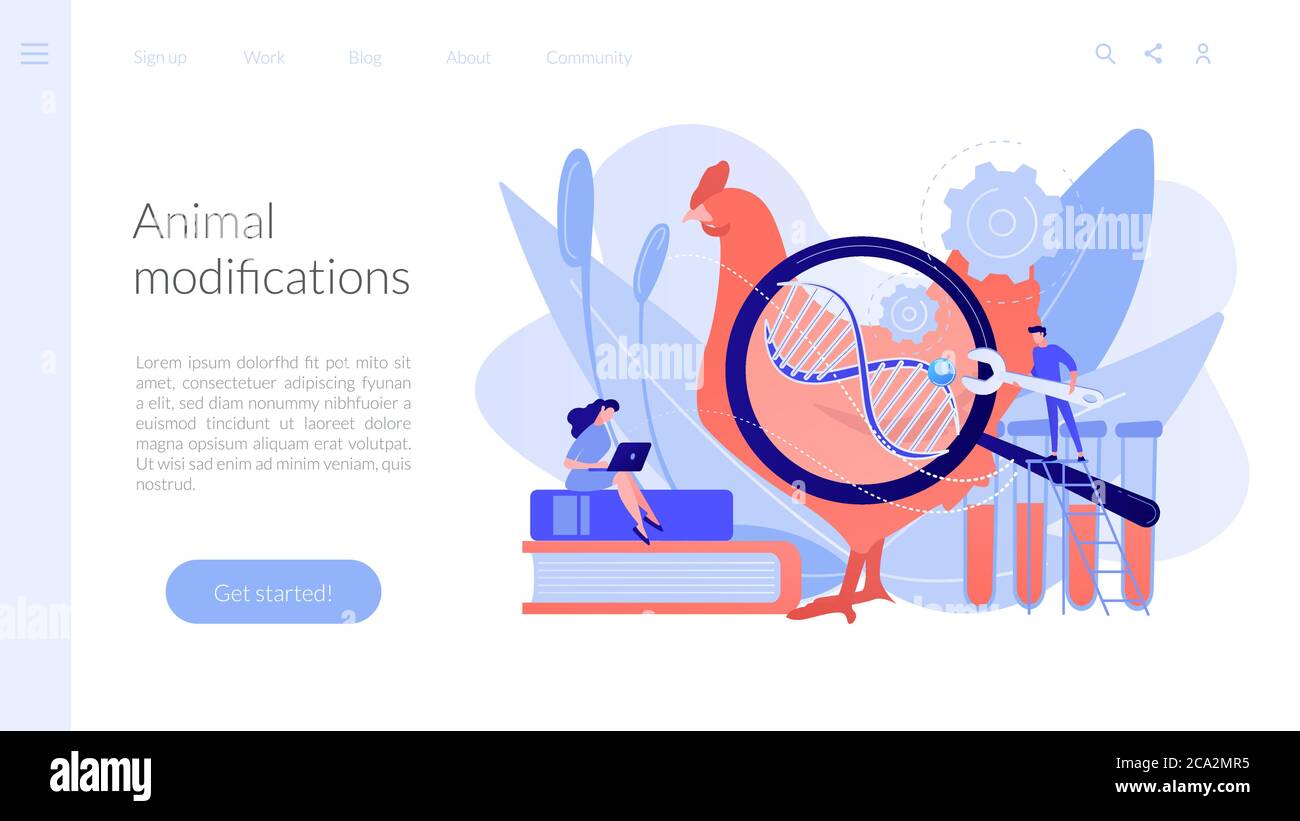 Genetically modified animals concept landing page Stock Vector Image & Art - Alamy