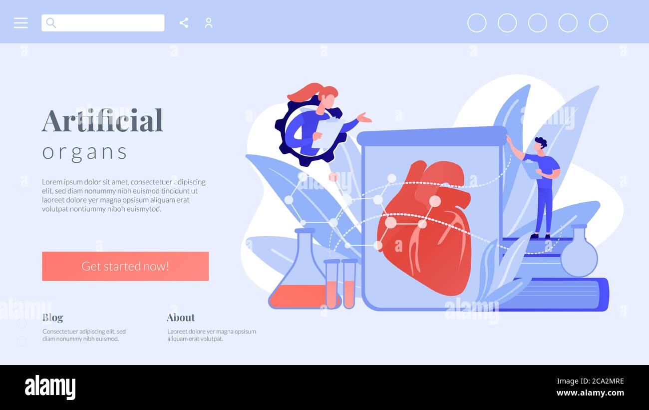 Lab grown organ hi-res stock photography and images - Alamy