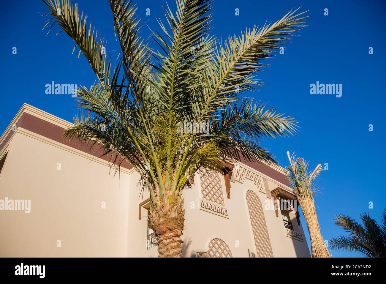 Arab buildings with palm trees in hotel Stock Photo - Alamy