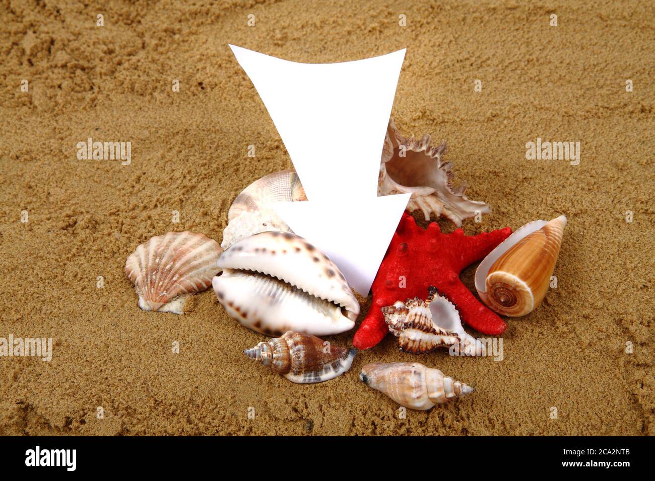 sea shells, paper and yellow sand as nice summer background Stock Photo ...