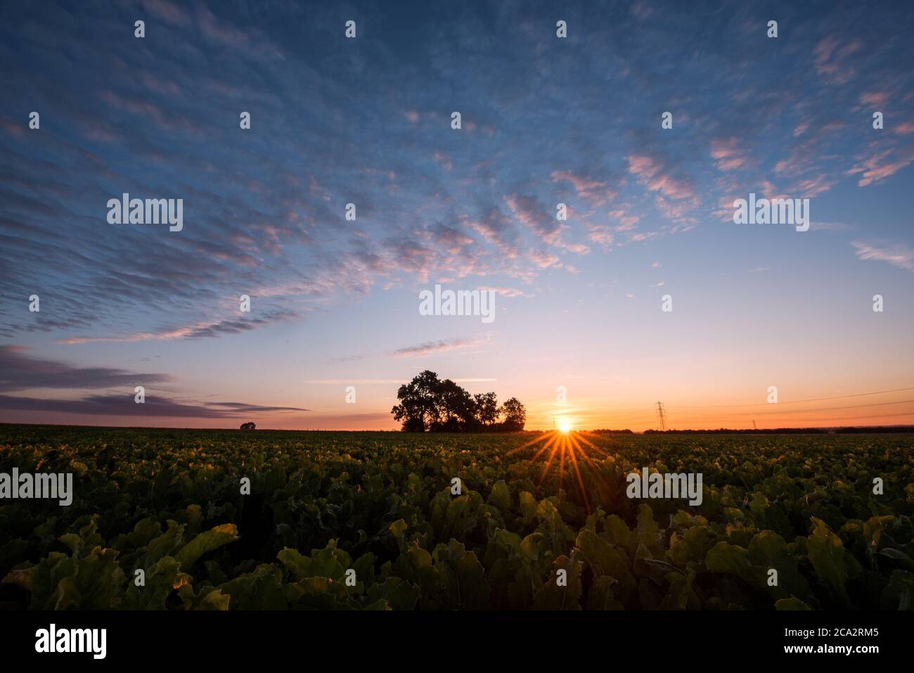 Sunrise over Bingham, Nottinghamshire, with parts of the UK looking set ...