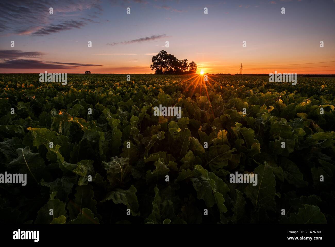 Bingham, nottinghamshire hi-res stock photography and images - Alamy