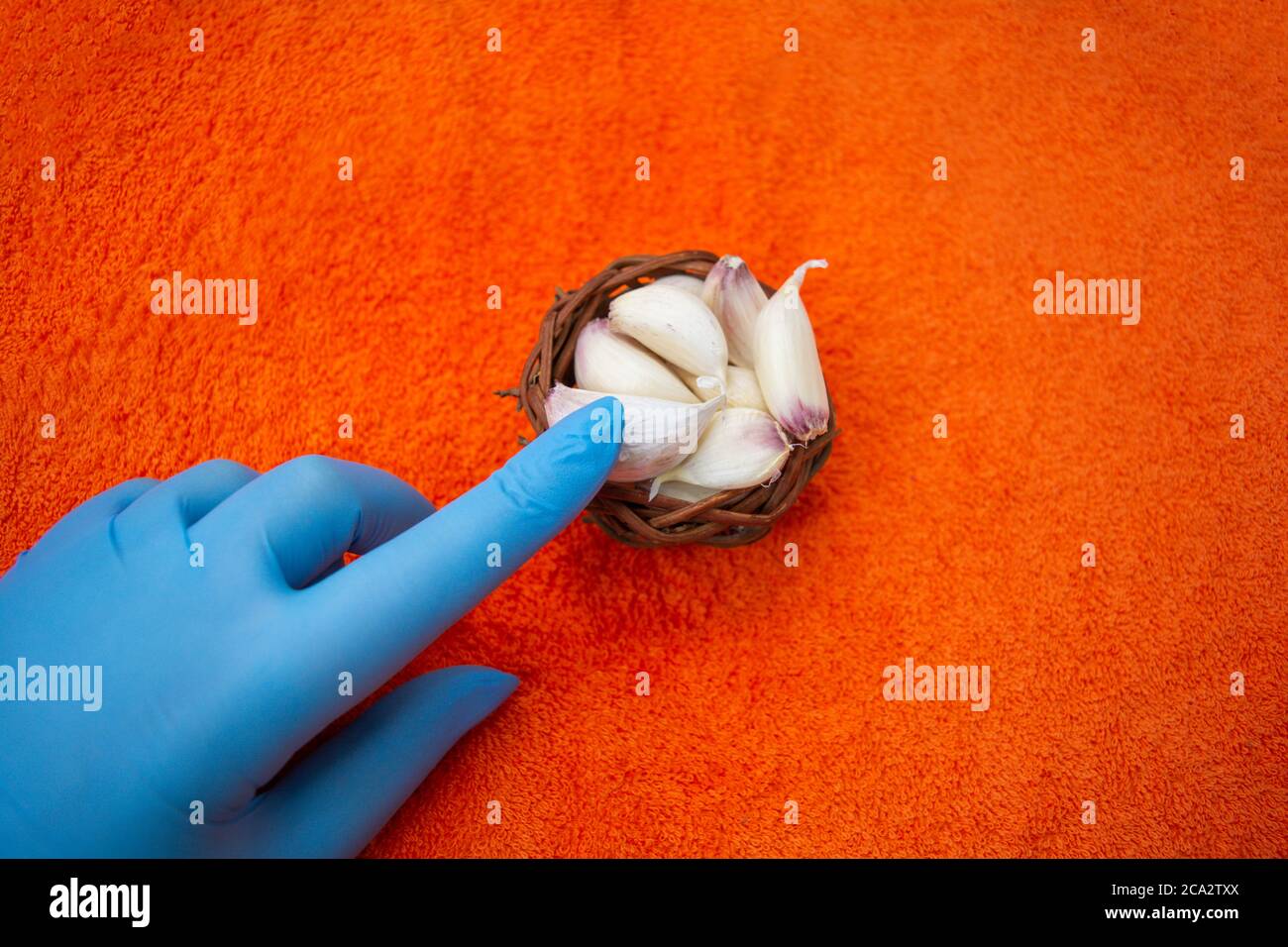 Hand in blue latex medical glove with Cloves of raw Garlic in wooden ...