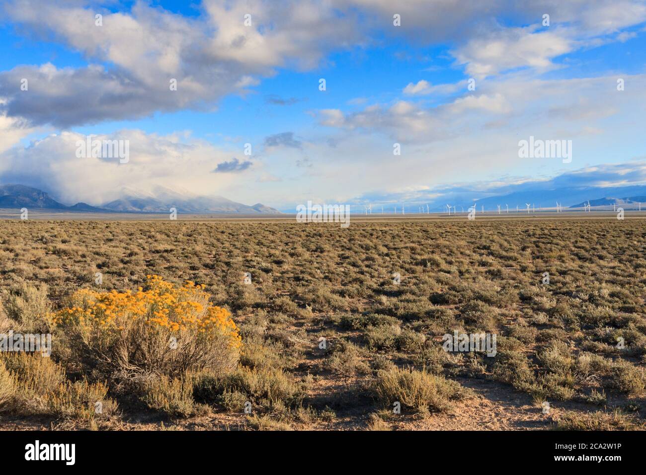 Wind farm in nevada hi-res stock photography and images - Alamy