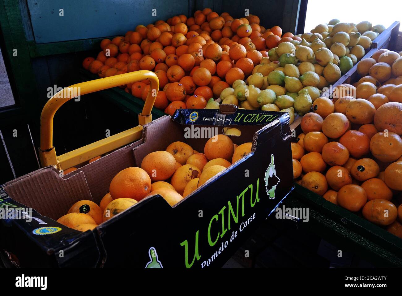 Citrus display hi-res stock photography and images - Alamy