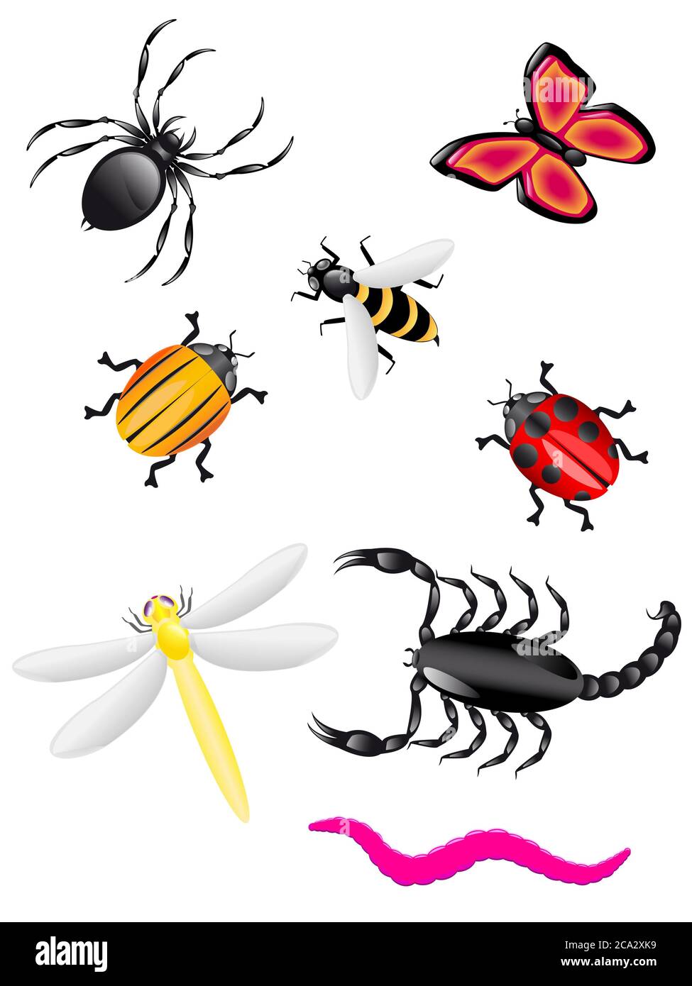 Ladybird beetles spider hi-res stock photography and images - Alamy