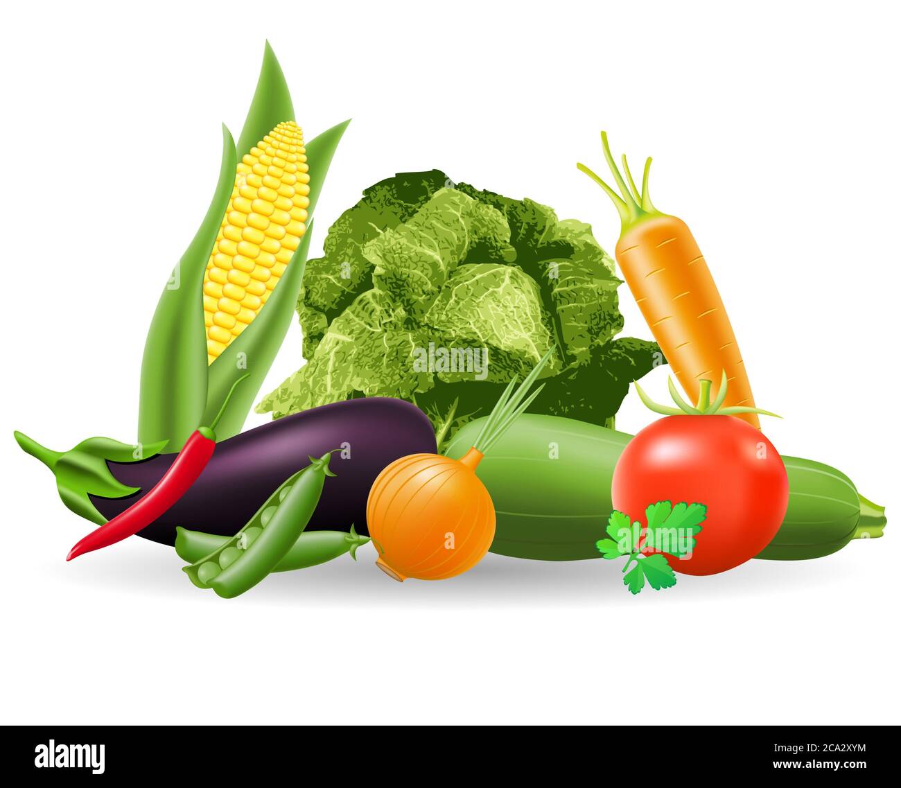 Vegetables Vector