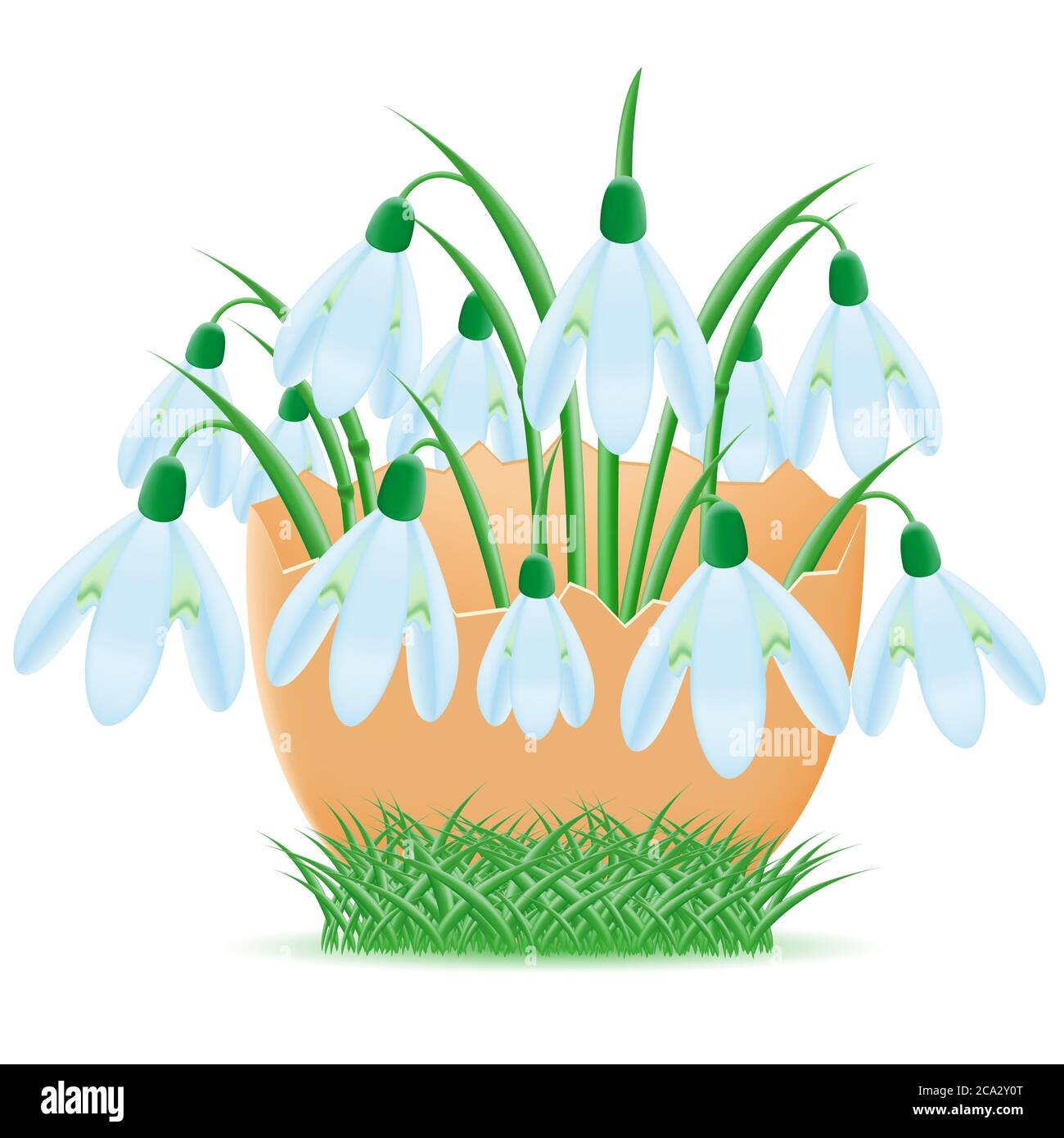 Bouquet of snowdrops Cut Out Stock Images & Pictures - Alamy