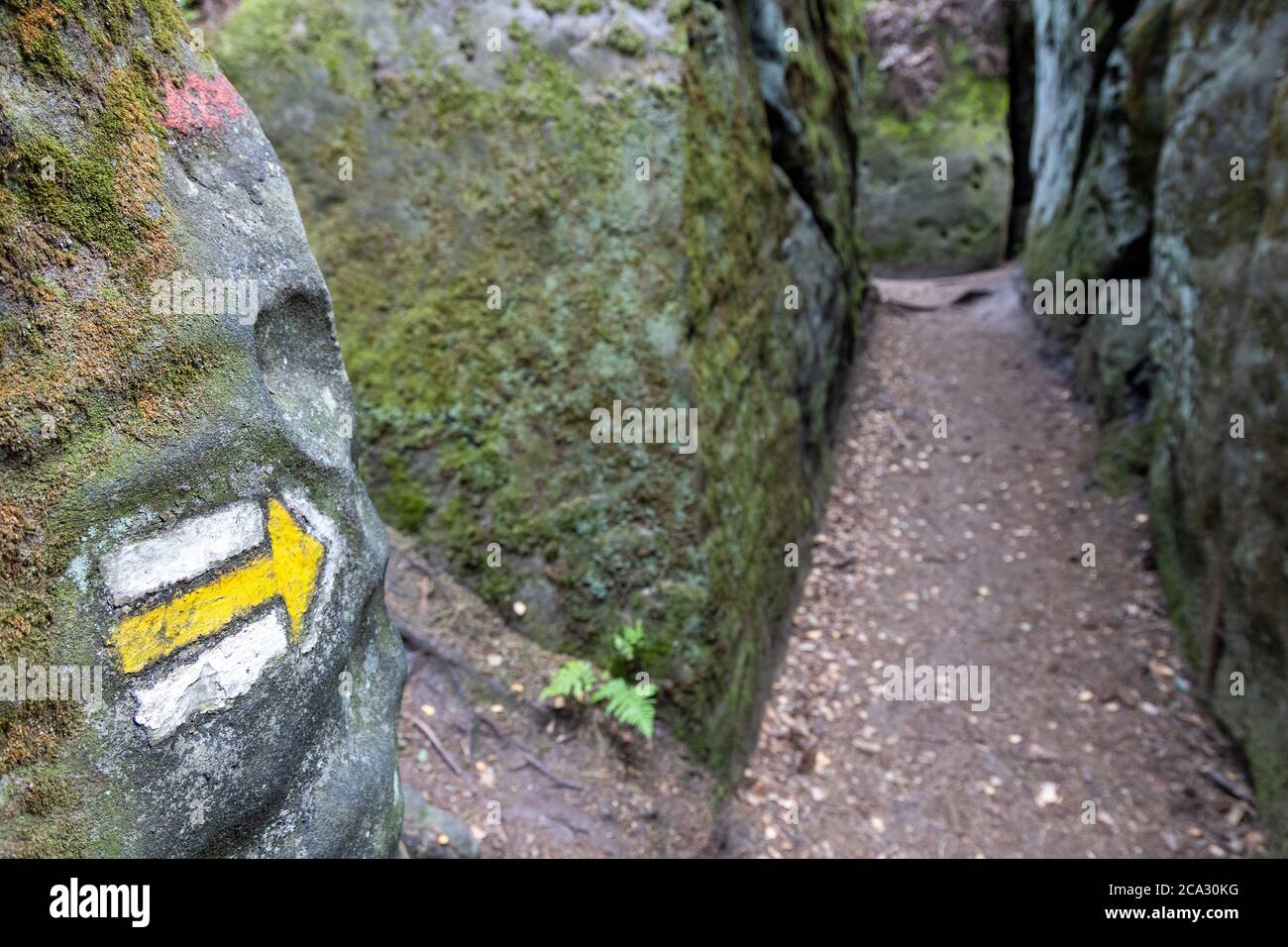 Skalní bludiště Chléviště, Skalni mesto, chranena krajinna oblast, vrch ...