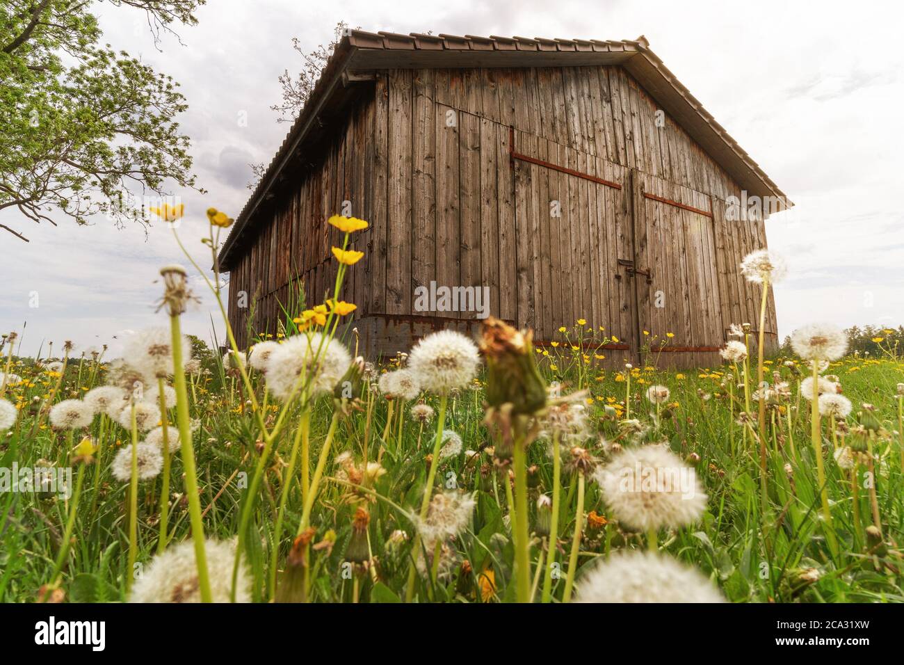 Farm animals made wood hi-res stock photography and images - Alamy