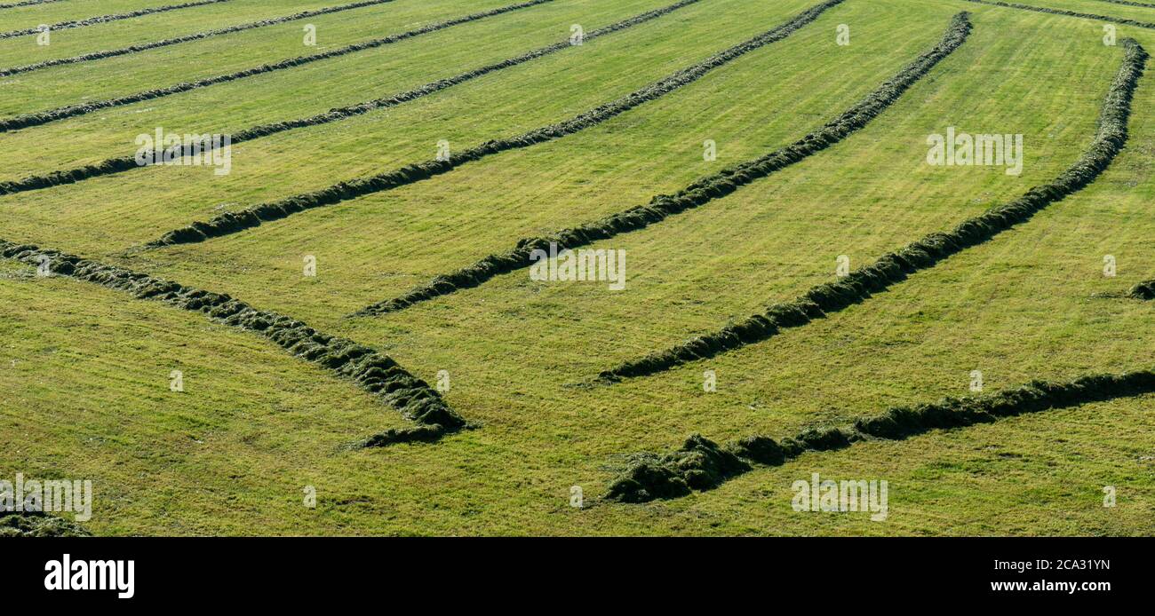 Lawn mowing lines in grass hi-res stock photography and images - Alamy