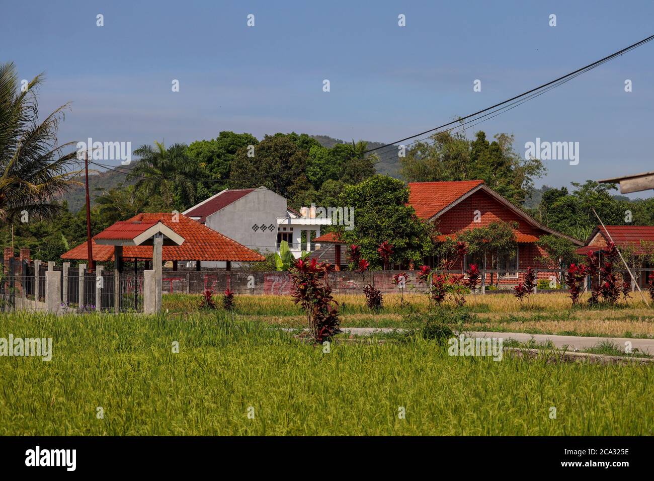 a house in rural Indonesia surrounded by rice fields with a mountain ...