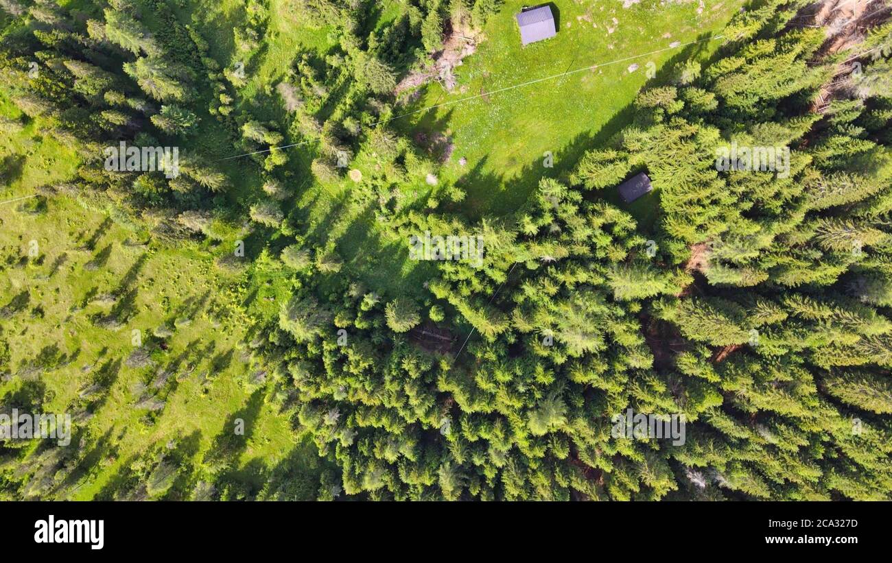 Overhead aerial view of beautiful mountain trees in summertime Stock ...