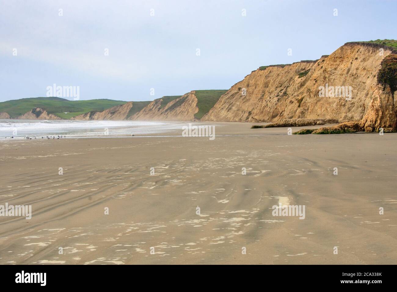 A Beach at Point Reyes National Seashore, California Stock Photo - Alamy