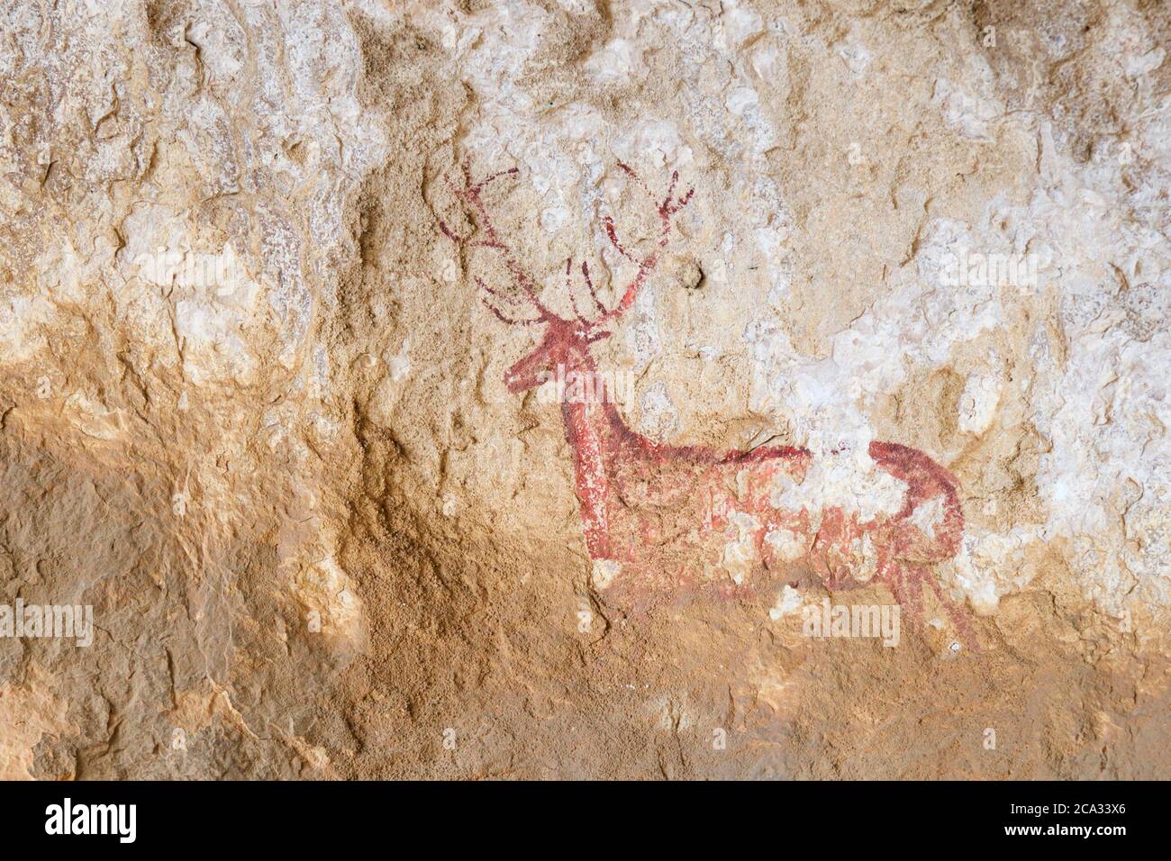 Prehistoric Cave Paintings Deer