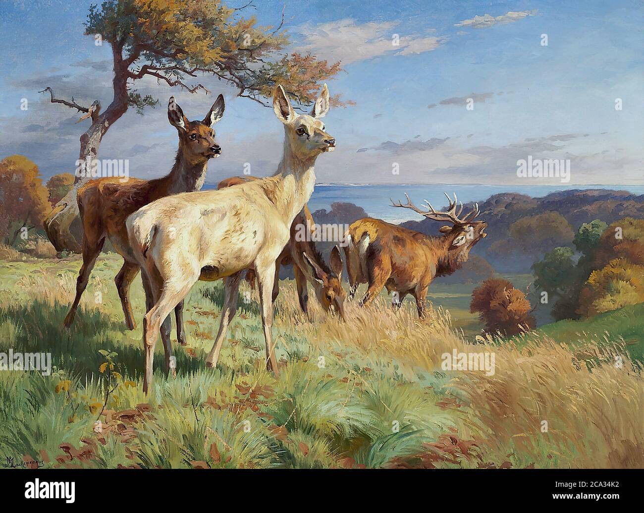 Mackeprang Adolph Henrik - Deer in Dyrehaven 2 - Danish School - 19th ...