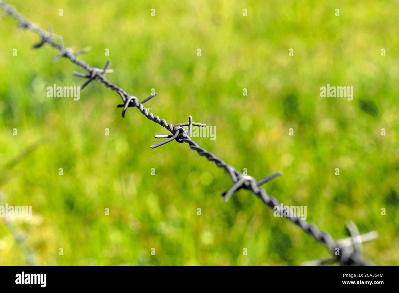 Barbed Wire And Tree High Resolution Stock Photography and Images - Alamy