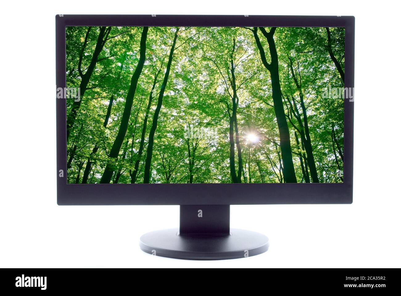 Sunlight scenic trees Cut Out Stock Images & Pictures - Alamy