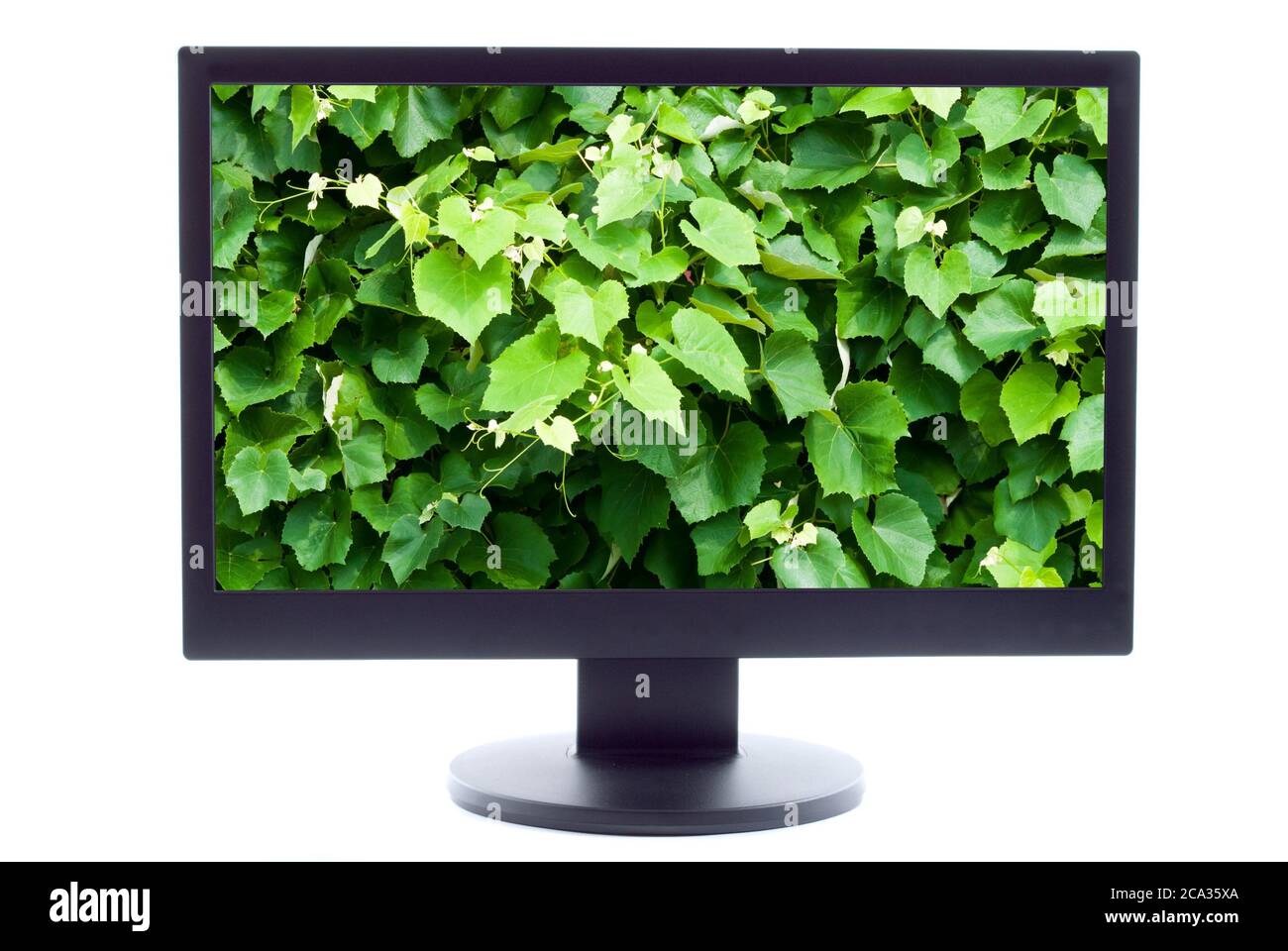 Plant growing tv hi-res stock photography and images - Alamy