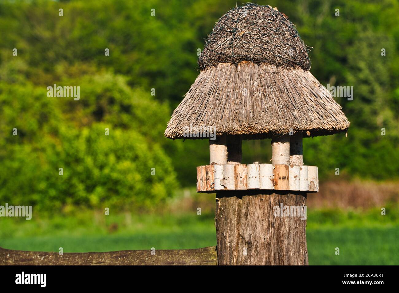 bird feeder made of reed and birch Stock Photo - Alamy