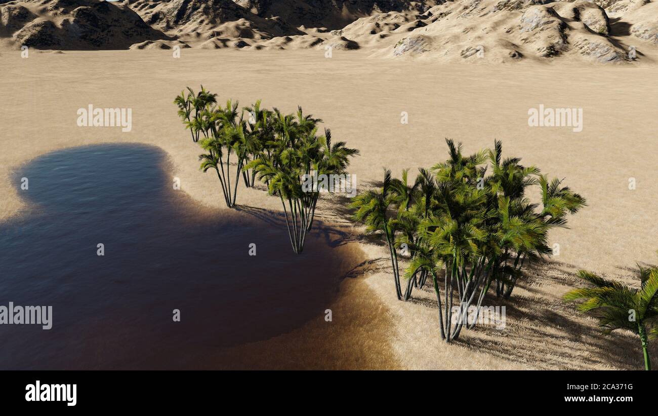 Desert oasis landscape hi-res stock photography and images - Alamy