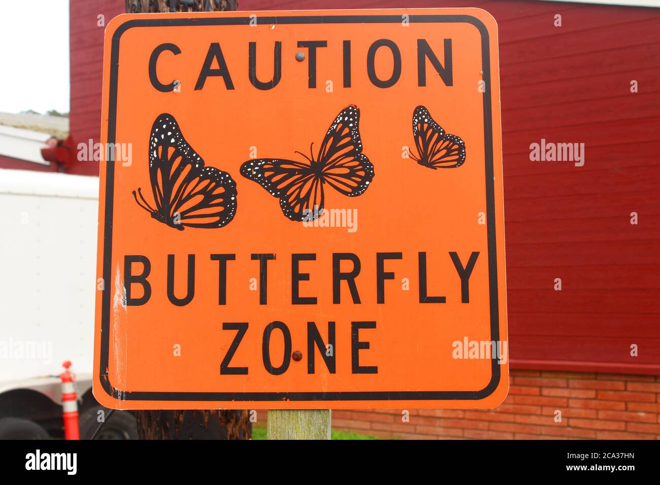 Butterfly Grove High Resolution Stock Photography and Images - Alamy