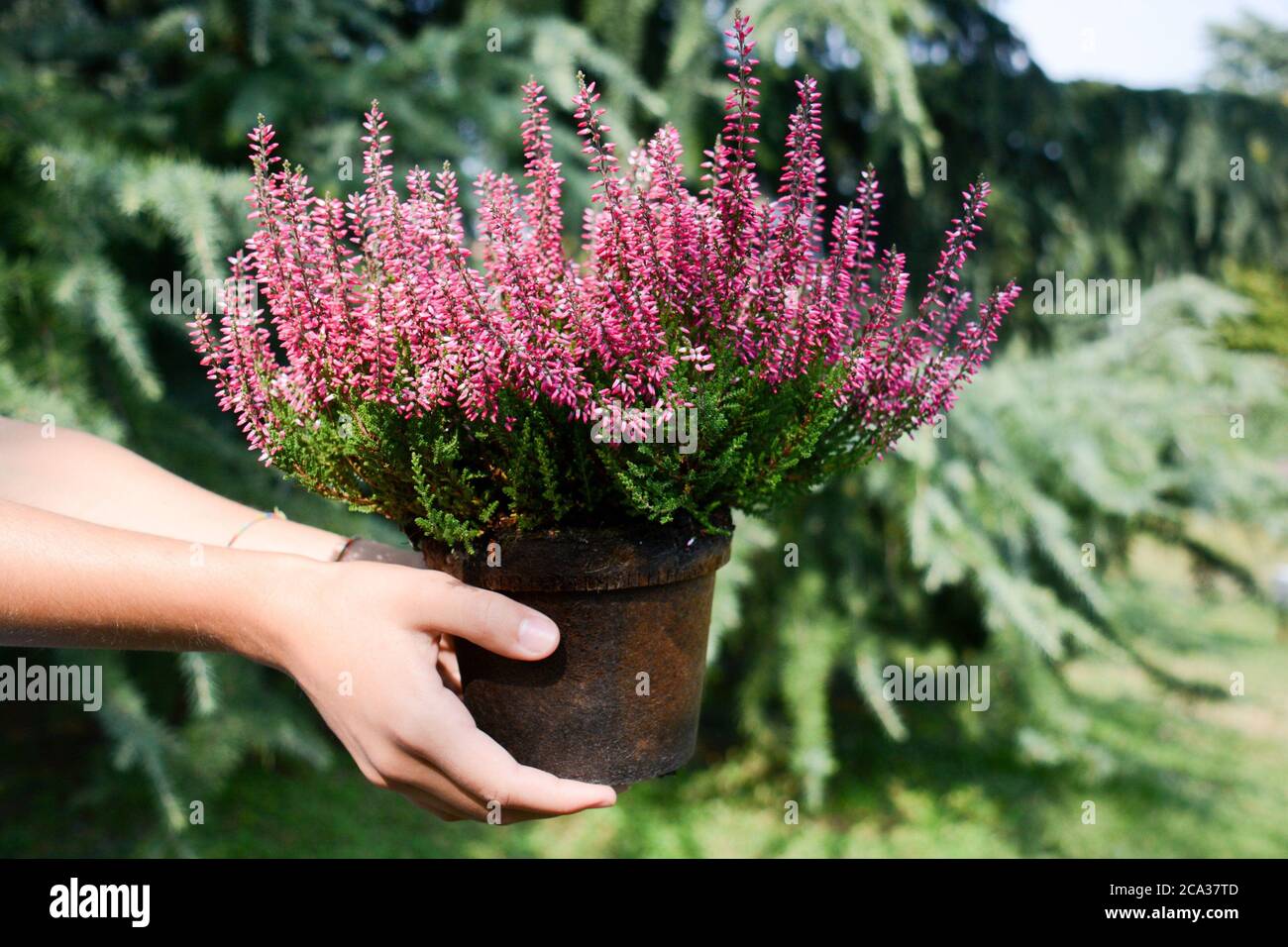 Future earth hi-res stock photography and images - Alamy