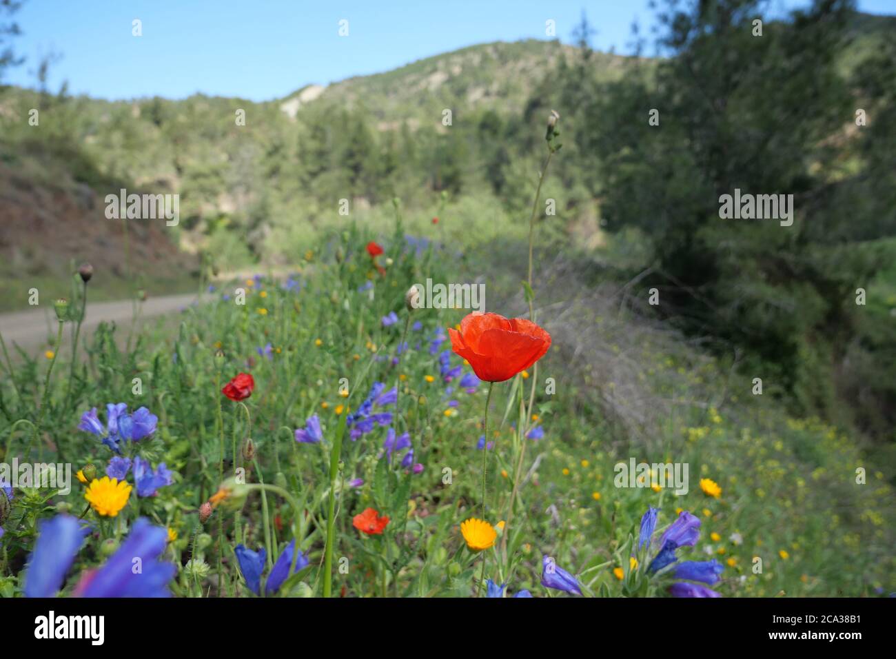 Spring flora and fauna hi-res stock photography and images - Alamy