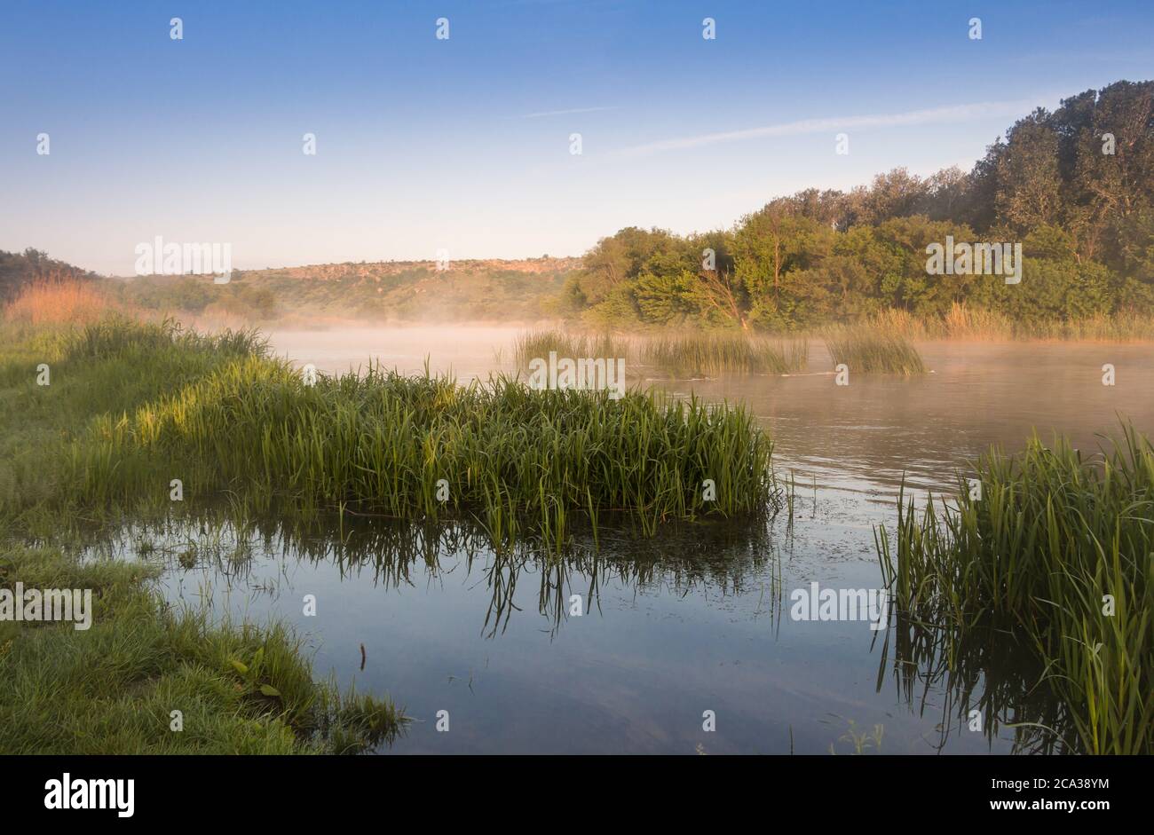 Riverside Grass High Resolution Stock Photography and Images - Alamy