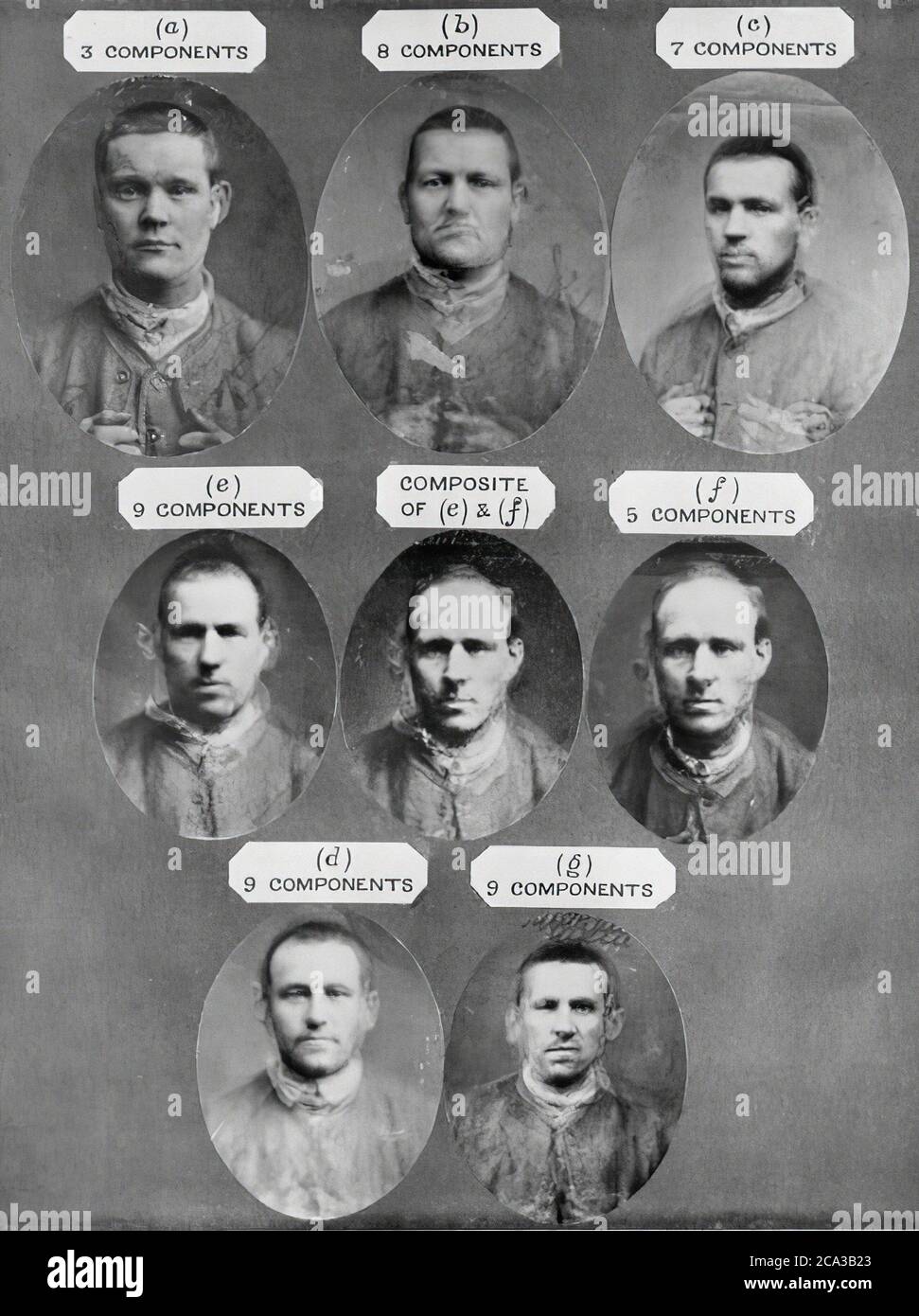 Francis galton criminal hi-res stock photography and images - Alamy