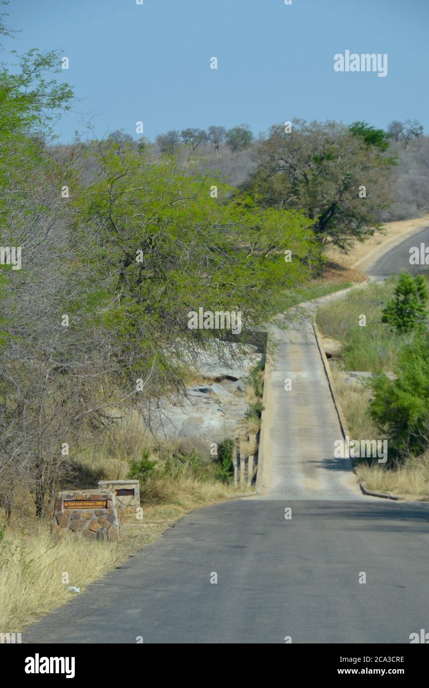 Long low level concrete bridge across the Sabie river dry river bed in ...