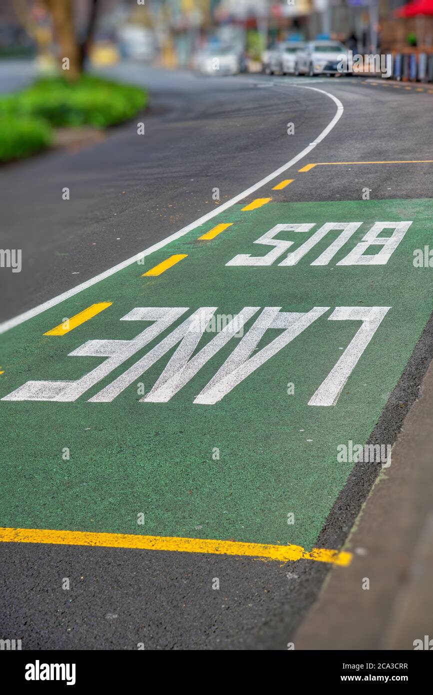 Bus Lane signage on the road in the city center Stock Photo - Alamy