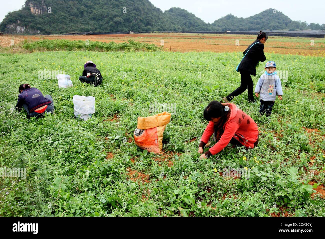 Farmers girl calendar hi-res stock photography and images - Alamy