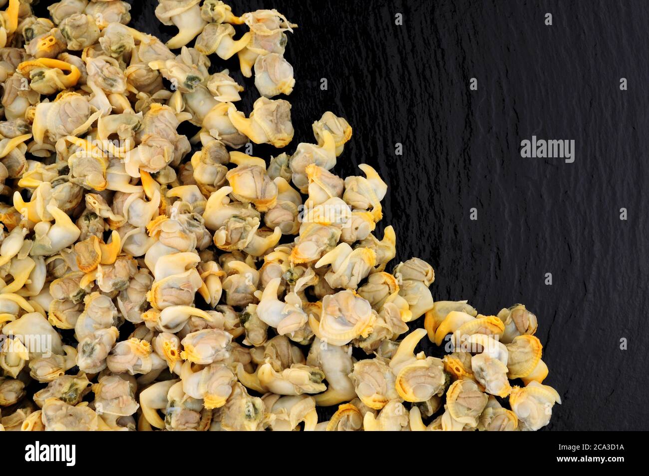 Pickled cooked shelled cockle shellfish meat on a slate stone ...