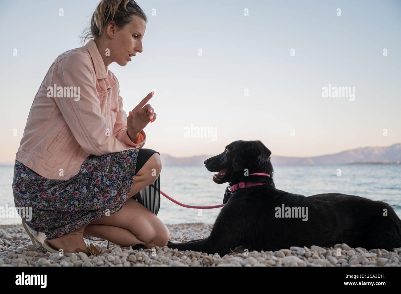 Young woman kneeling down to give command to her black shepherd dog on ...