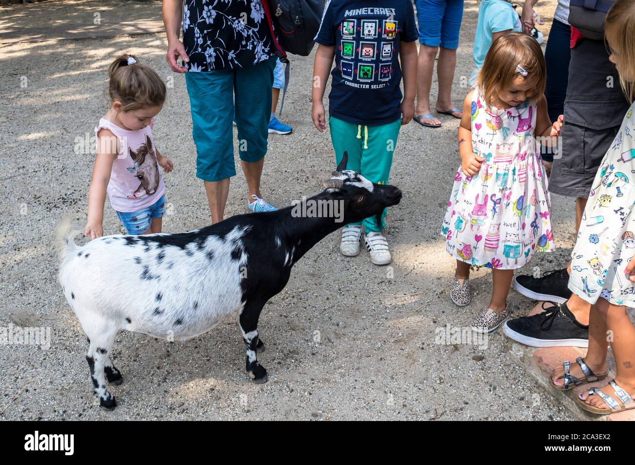 Zagreb Zoo High Resolution Stock Photography and Images - Alamy