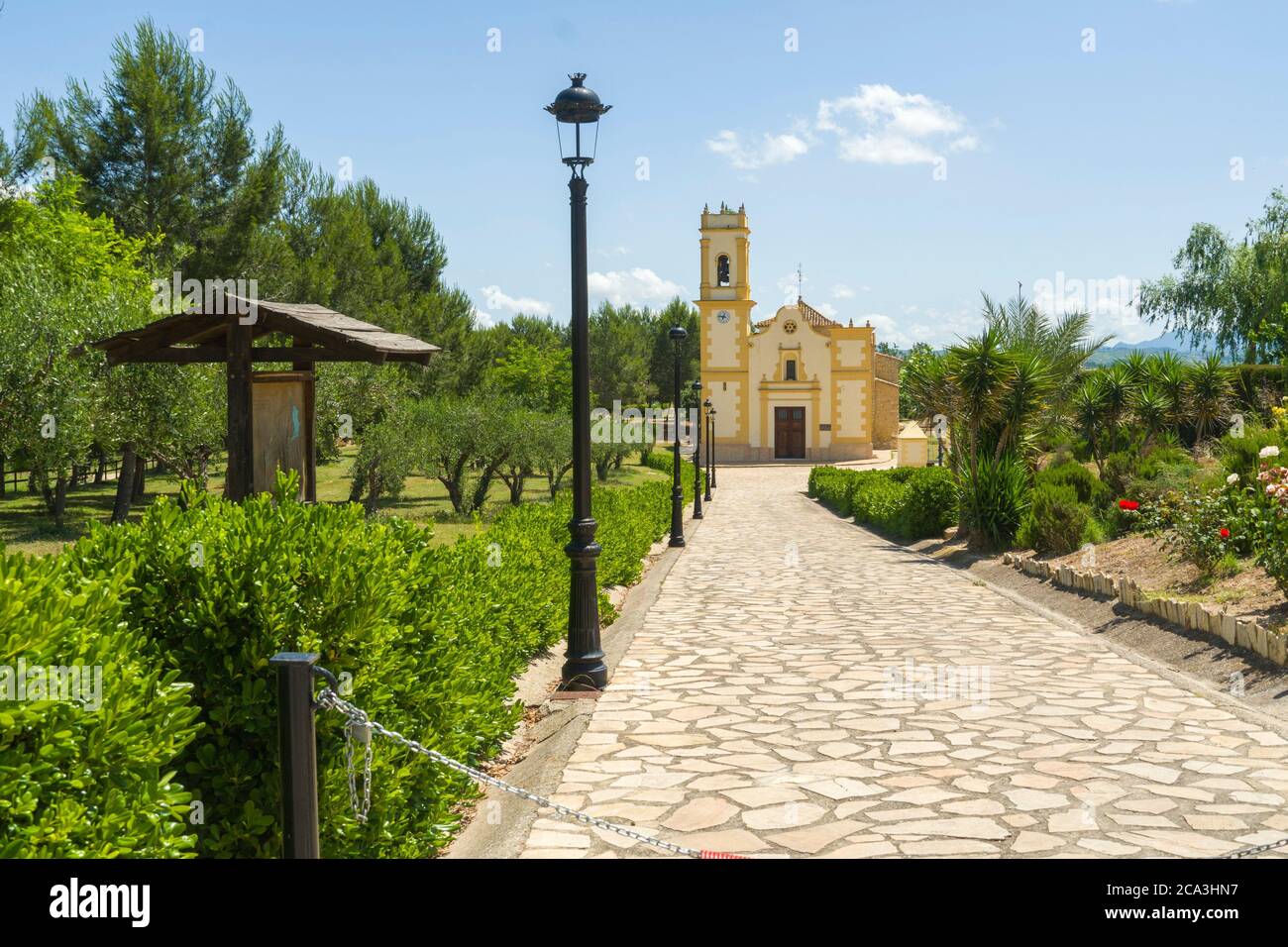 Spring bellus hi-res stock photography and images - Alamy