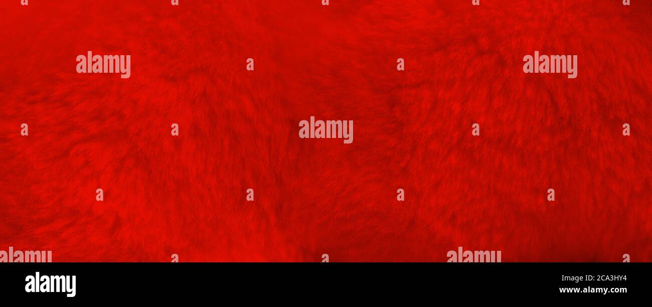 Red fur background close up view. Banner wallpaper Stock Photo - Alamy