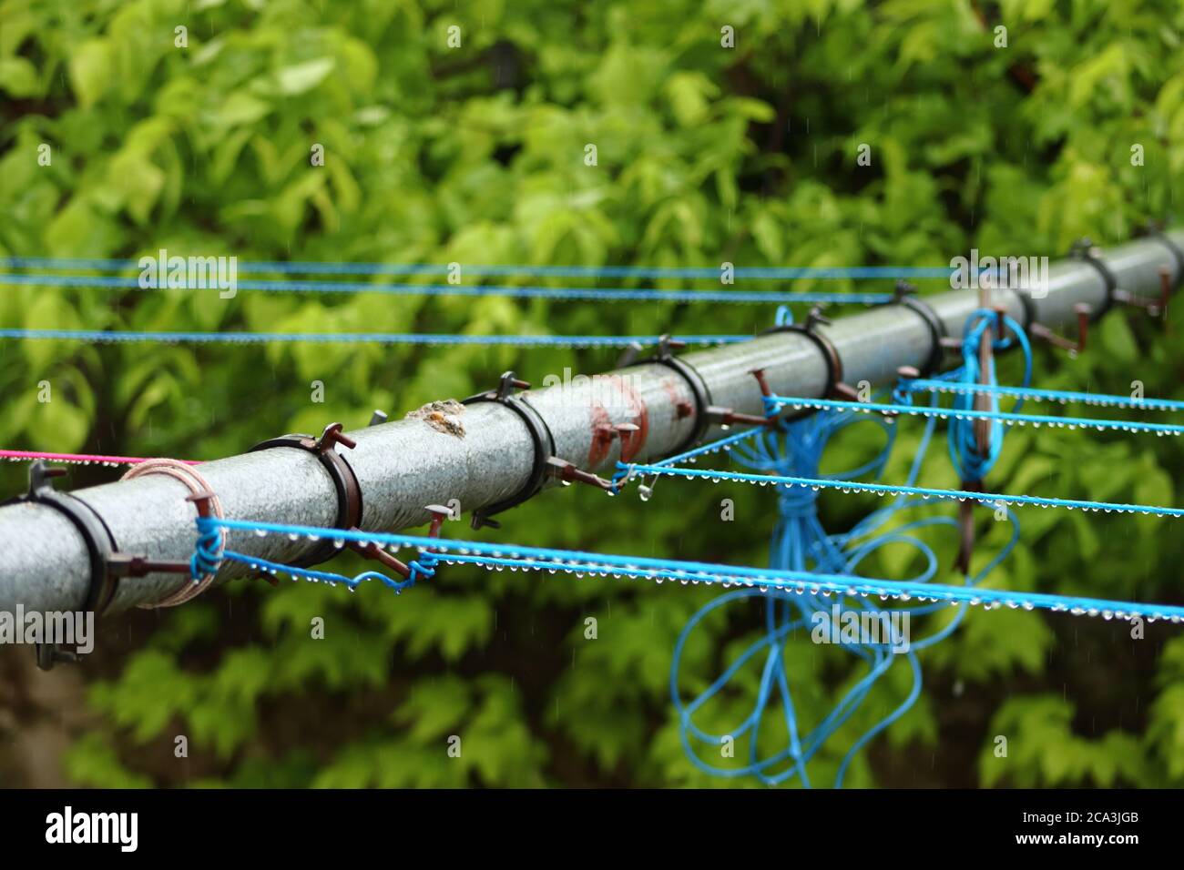 Washing Line In The Rain Stock Photo Alamy washing-line-in-the-rain-stock-photo-alamy