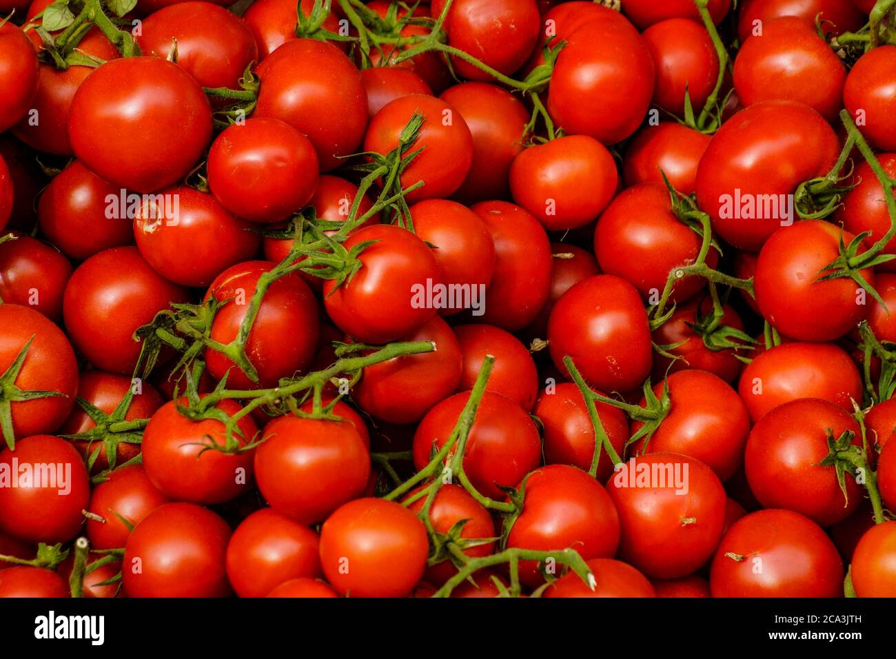 Tomato stand hi-res stock photography and images - Alamy
