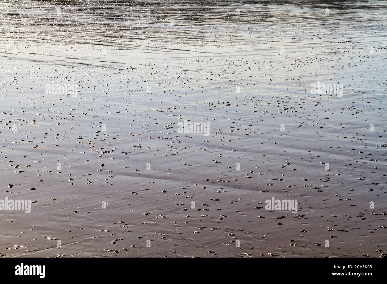 Light shimmering on water, on a sand and pebble beach Stock Photo - Alamy